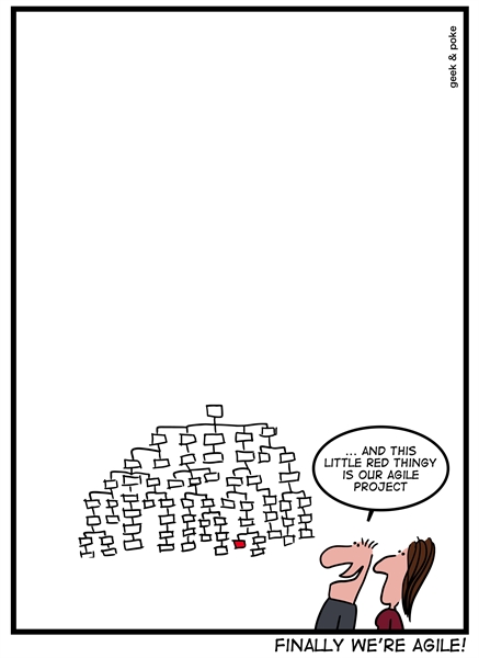 Our Organization is Agile