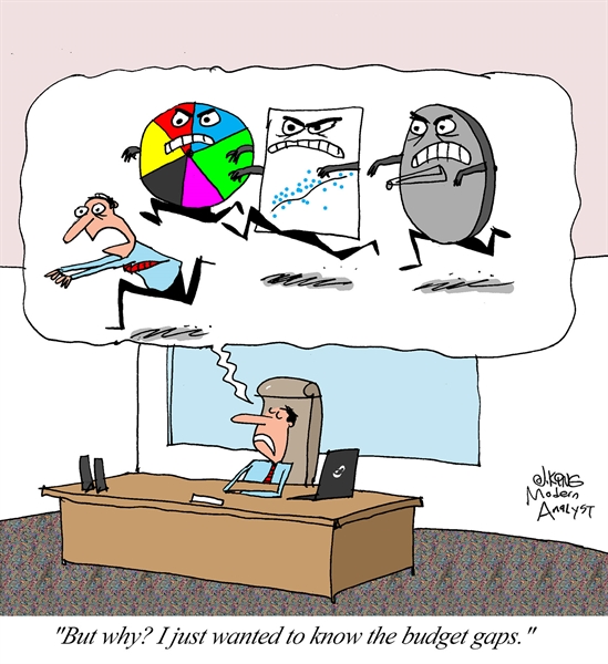 Project Budget Gaps