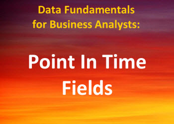 Point In Time Fields