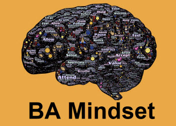 You Might Be a BA If…